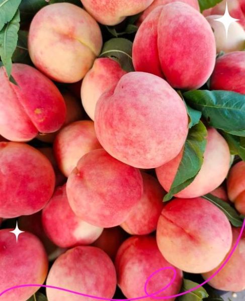 桃子品种大全_桃子图片怎么拍才好看-第1张图片-山城妙识