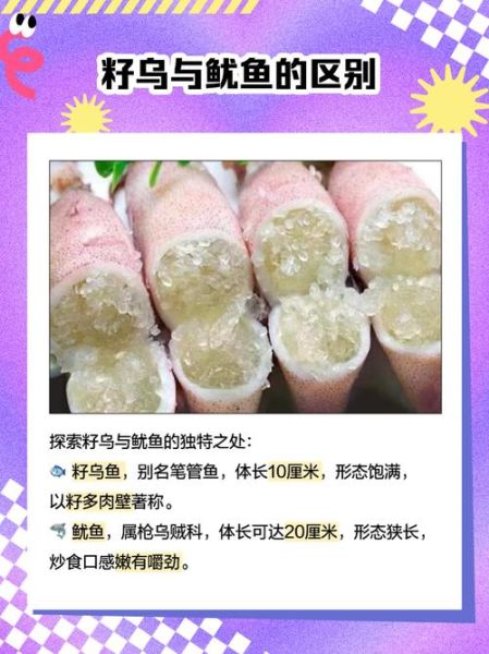 吃乌鱼子的禁忌_乌鱼子不能和什么一起吃-第2张图片-山城妙识