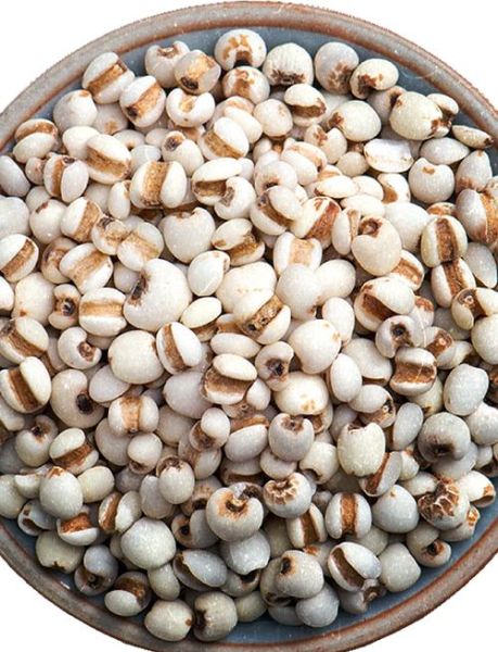 薏仁米可以和大米一起煮吗_薏仁米和大米一起煮的功效-第3张图片-山城妙识