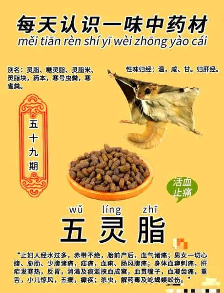 五灵脂的功效与作用_五灵脂的副作用有哪些-第1张图片-山城妙识