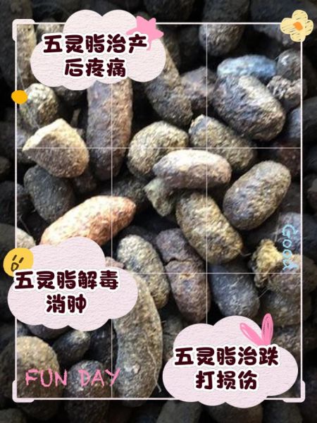 五灵脂的功效与作用_五灵脂的副作用有哪些-第2张图片-山城妙识