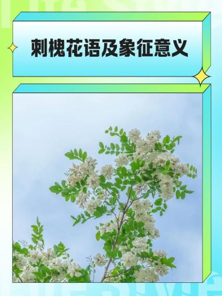 刺槐花程式是什么_刺槐花程式怎么写-第3张图片-山城妙识