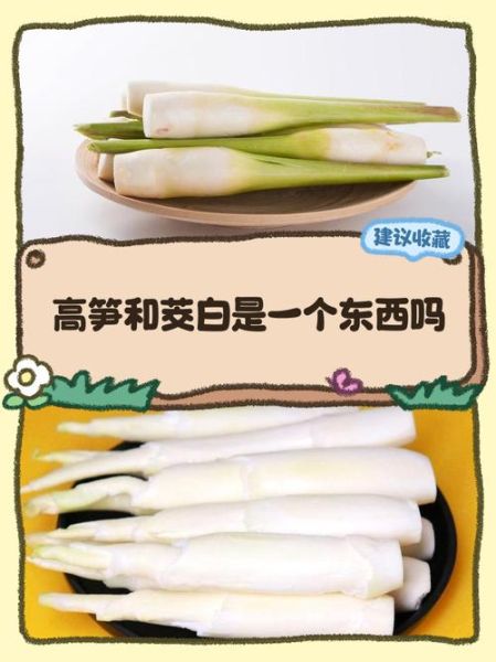 茭白长什么样_茭白和竹笋区别-第1张图片-山城妙识