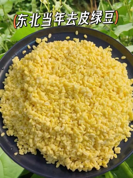 脱皮绿豆怎么吃_脱皮绿豆的做法大全-第1张图片-山城妙识