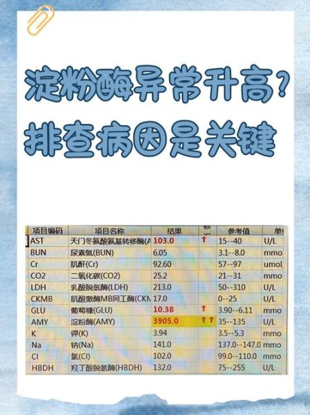 淀粉酶正常值范围是多少_血清淀粉酶偏高怎么办-第1张图片-山城妙识