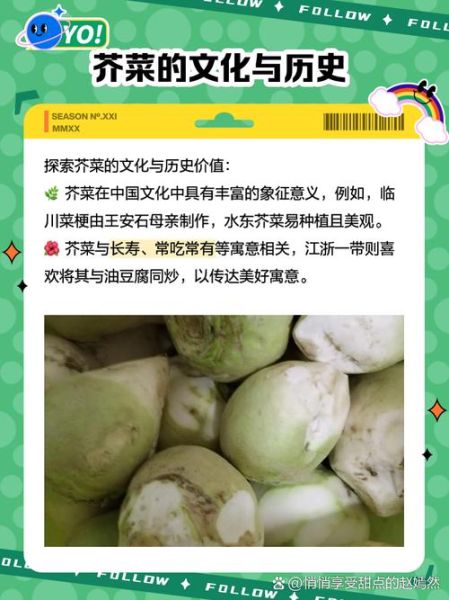 茎芥菜怎么种_茎芥菜营养价值-第1张图片-山城妙识 茎芥菜怎么种_茎芥菜营养价值-第1张图片-山城妙识