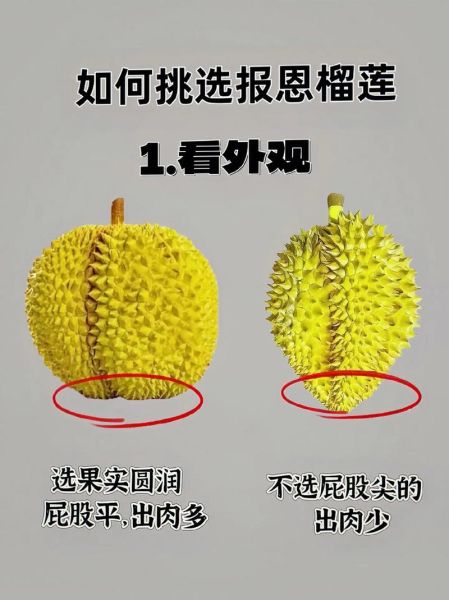 榴莲怎么挑选才肉多多_榴莲挑选技巧-第2张图片-山城妙识