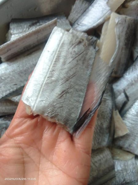 带鱼价格多少钱一斤_2024年最新行情-第1张图片-山城妙识