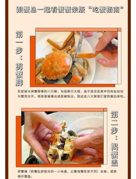 螃蟹的正确吃法与禁忌_图解步骤-第1张图片-山城妙识