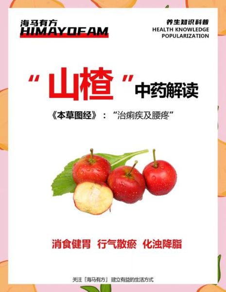 女人吃山楂有什么好处_山楂对女性的功效与作用-第1张图片-山城妙识