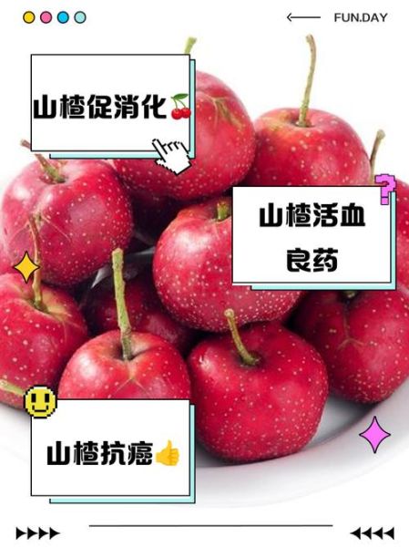 女人吃山楂有什么好处_山楂对女性的功效与作用-第3张图片-山城妙识