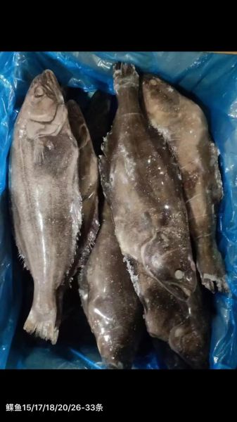 深海鲽鱼多少钱一斤_深海鲽鱼价格影响因素-第3张图片-山城妙识