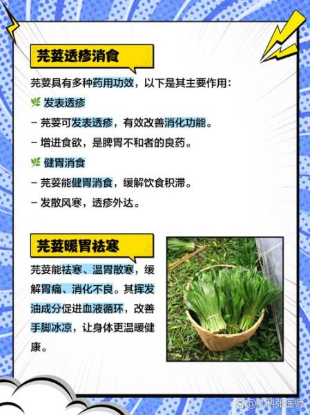 芫荽香菜的功效与作用_香菜怎么吃最健康-第2张图片-山城妙识