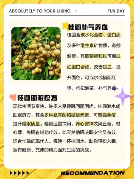 桂圆干泡水一次放几个_桂圆干泡水放多了会上火吗-第3张图片-山城妙识