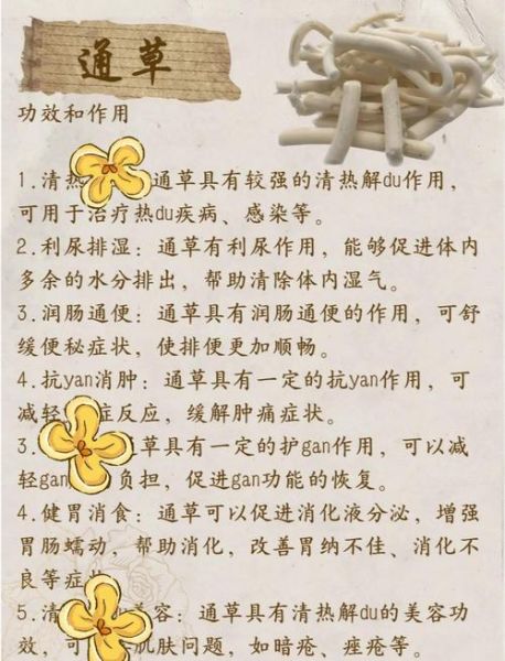 通草最多能吃几天_通草连续服用多久安全-第1张图片-山城妙识