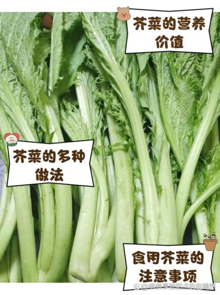 大叶芥菜怎么腌制_家常做法步骤-第2张图片-山城妙识 大叶芥菜怎么腌制_家常做法步骤-第2张图片-山城妙识