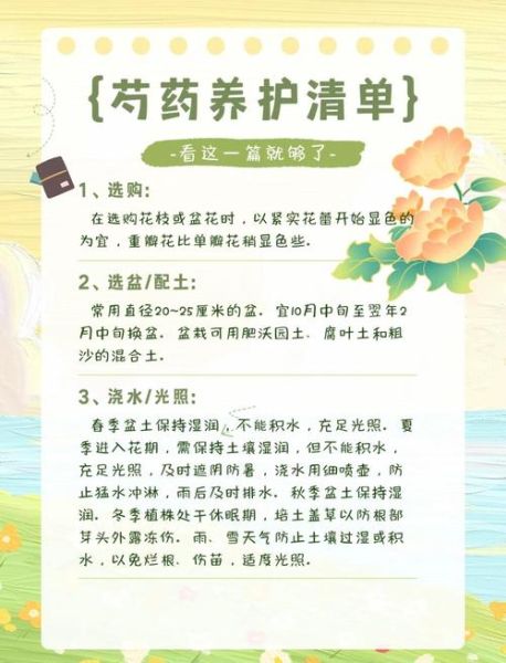 芍药花什么时候开花_芍药花怎么养护-第1张图片-山城妙识 芍药花什么时候开花_芍药花怎么养护-第1张图片-山城妙识