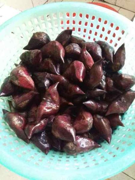 菱角要煮多久_菱角煮多久才能吃-第3张图片-山城妙识 菱角要煮多久_菱角煮多久才能吃-第3张图片-山城妙识