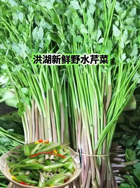 水芹菜能吃吗_水芹菜怎么吃才安全-第3张图片-山城妙识