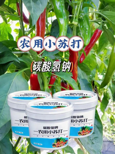 小苏打对动物的作用与功效_兽用小苏打怎么用-第2张图片-山城妙识