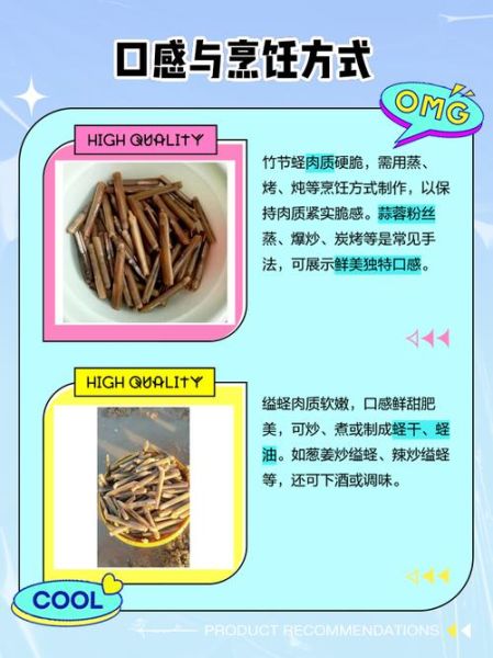 竹节蛏是什么东西_竹节蛏和蛏子区别-第1张图片-山城妙识