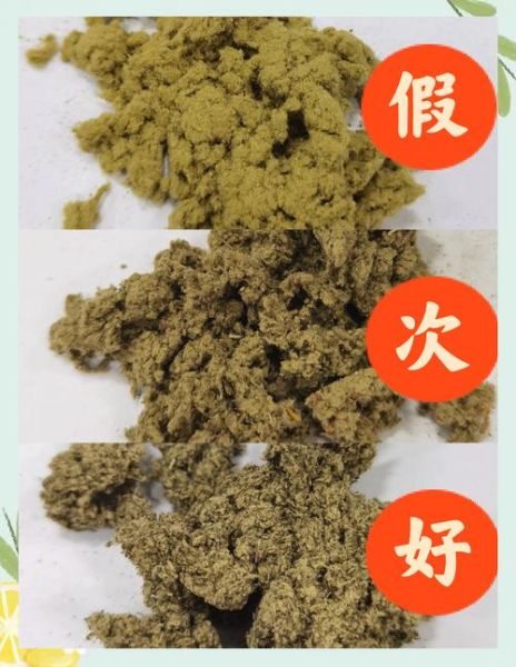 正宗艾草长什么样_如何辨别真假艾草-第1张图片-山城妙识