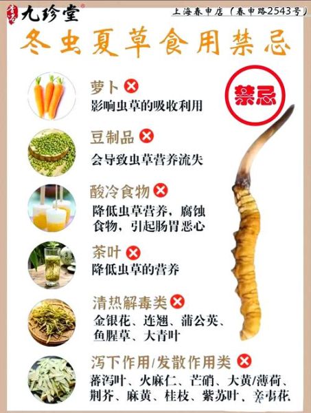 冬虫夏草的功效与作用禁忌_哪些人不能吃-第1张图片-山城妙识 冬虫夏草的功效与作用禁忌_哪些人不能吃-第1张图片-山城妙识