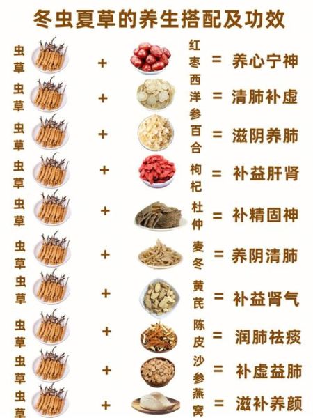 冬虫夏草的功效与作用禁忌_哪些人不能吃-第2张图片-山城妙识 冬虫夏草的功效与作用禁忌_哪些人不能吃-第2张图片-山城妙识