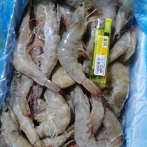 中国对虾多少钱一斤_中国对虾怎么挑选-第2张图片-山城妙识