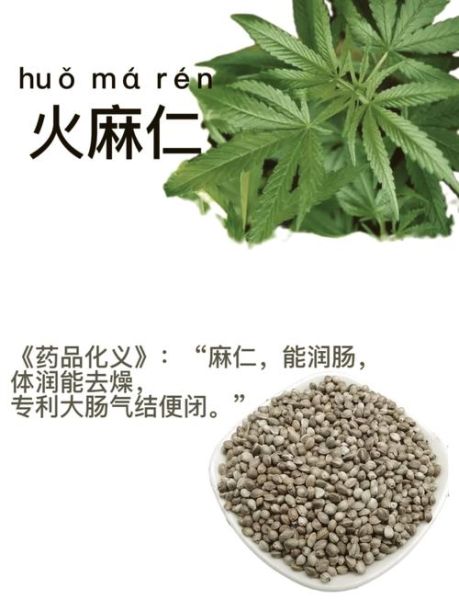 胡麻仁是火麻仁吗_区别与功效对比-第2张图片-山城妙识 胡麻仁是火麻仁吗_区别与功效对比-第2张图片-山城妙识