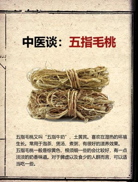 五指毛桃的功效与作用及禁忌_五指毛桃什么人不能吃-第1张图片-山城妙识 五指毛桃的功效与作用及禁忌_五指毛桃什么人不能吃-第1张图片-山城妙识