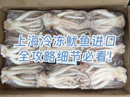冷冻鱿鱼怎么处理干净_冷冻鱿鱼去内脏技巧-第3张图片-山城妙识