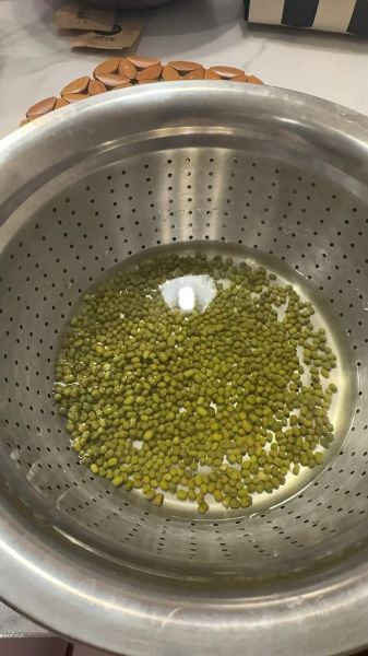 豆芽儿视频怎么下载_豆芽儿视频有哪些功能-第2张图片-山城妙识