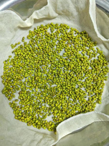 豆芽儿视频怎么下载_豆芽儿视频有哪些功能-第3张图片-山城妙识