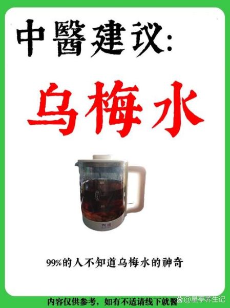 乌梅汁怎么做_乌梅汁的做法与功效-第3张图片-山城妙识