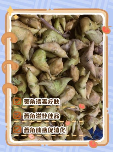 菱角的功效与作用_血糖高能吃吗-第1张图片-山城妙识