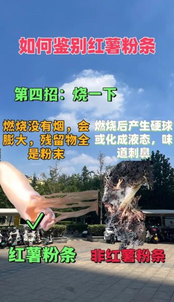 地瓜粉是红薯粉吗_两者区别与用途全解析-第1张图片-山城妙识