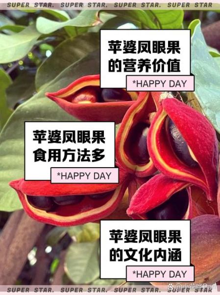 凤眼果是什么水果_凤眼果怎么吃-第2张图片-山城妙识