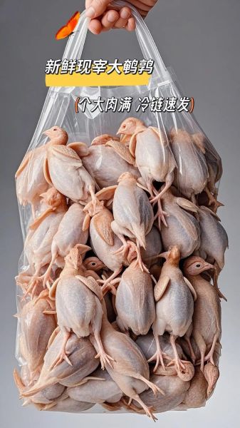 鹌鹑肉为什么这么便宜_鹌鹑肉价格低的真相-第1张图片-山城妙识