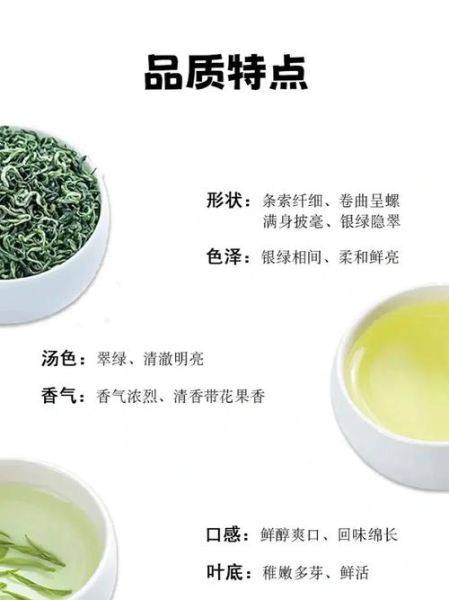 碧螺春和龙井哪个更好_口感与功效全面对比-第3张图片-山城妙识