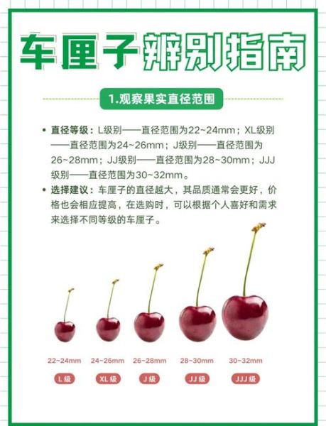 车厘子怎么挑_车厘子实拍图怎么看-第2张图片-山城妙识
