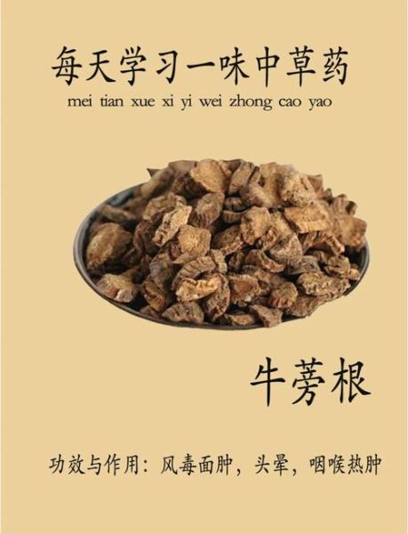 牛蒡根的功效与作用有哪些_牛蒡茶能长期喝吗-第2张图片-山城妙识