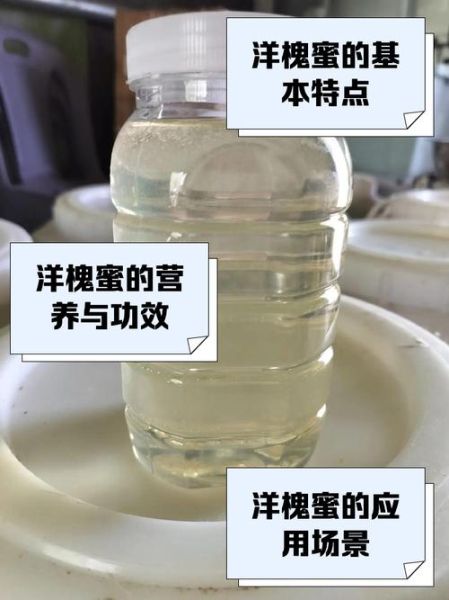 洋槐花蜜的功效与作用_洋槐花蜜适合什么人喝-第2张图片-山城妙识 洋槐花蜜的功效与作用_洋槐花蜜适合什么人喝-第2张图片-山城妙识