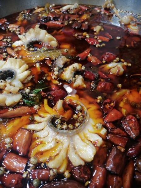 乌鱼影视在线下载安全吗_乌鱼影视怎么下载到手机-第2张图片-山城妙识 乌鱼影视在线下载安全吗_乌鱼影视怎么下载到手机-第2张图片-山城妙识