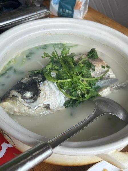 清水炖鱼怎么做才嫩_清水炖鱼去腥的5个关键-第2张图片-山城妙识 清水炖鱼怎么做才嫩_清水炖鱼去腥的5个关键-第2张图片-山城妙识