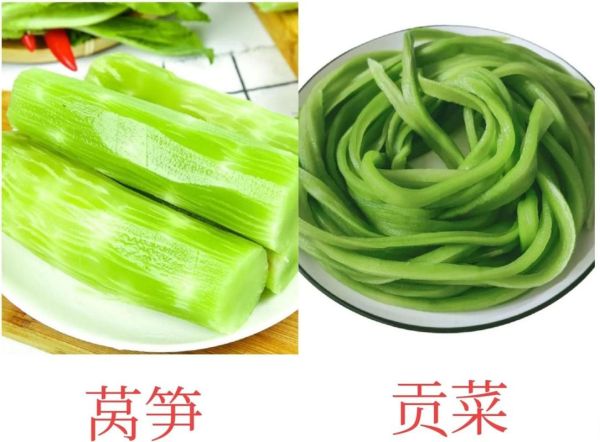 像莴苣的蔬菜叫什么菜_口感相似的蔬菜有哪些-第1张图片-山城妙识
