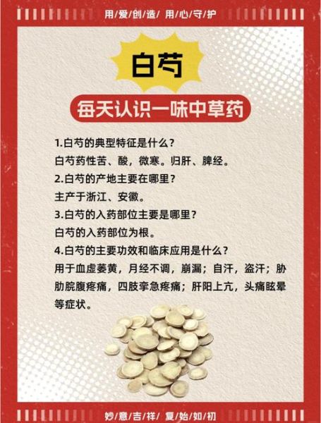 白芍和赤芍的区别_白芍赤芍功效与作用-第1张图片-山城妙识 白芍和赤芍的区别_白芍赤芍功效与作用-第1张图片-山城妙识