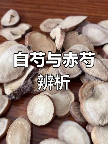 白芍和赤芍的区别_白芍赤芍功效与作用-第3张图片-山城妙识 白芍和赤芍的区别_白芍赤芍功效与作用-第3张图片-山城妙识