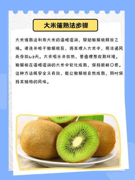 猕猴桃怎么催熟最快_猕猴桃催熟方法大全-第3张图片-山城妙识 猕猴桃怎么催熟最快_猕猴桃催熟方法大全-第3张图片-山城妙识