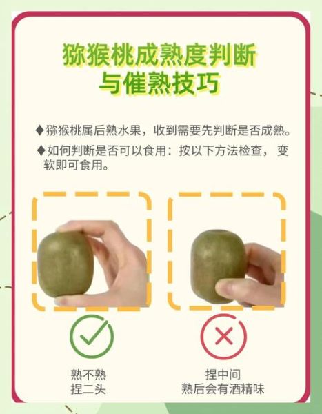 猕猴桃怎么催熟最快_猕猴桃催熟方法大全-第1张图片-山城妙识 猕猴桃怎么催熟最快_猕猴桃催熟方法大全-第1张图片-山城妙识